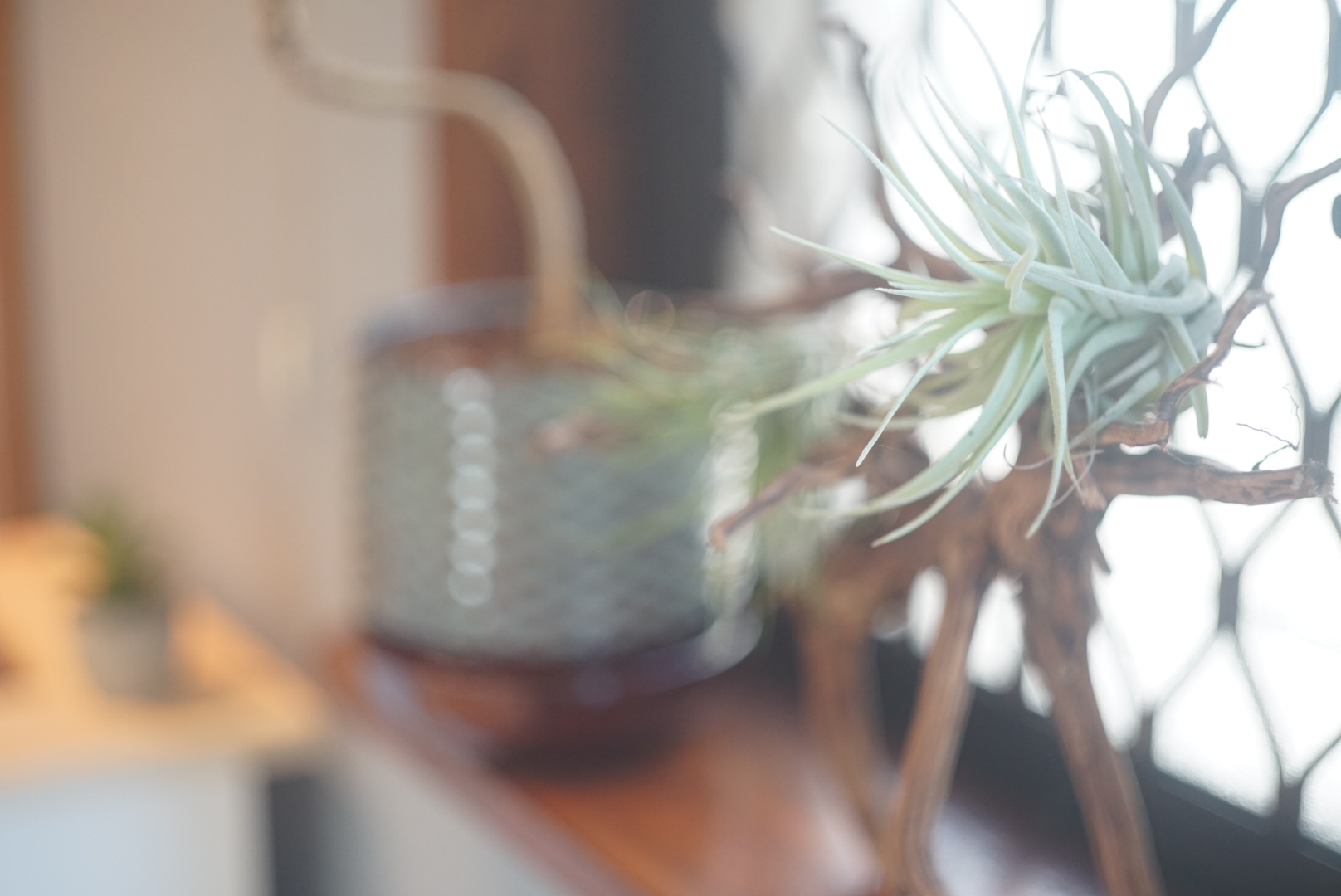 GALLERY｜KALON DESIGN LAB